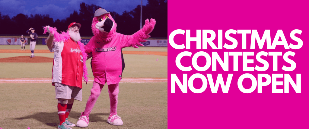 Home - Florence Flamingos